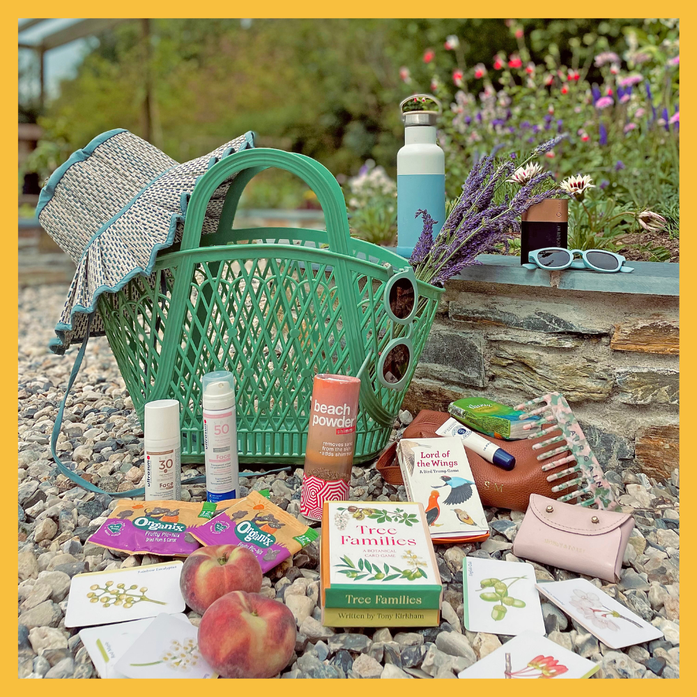 Friends of Sun Jellies : Q&A with Shell Mills - Sun Jellies