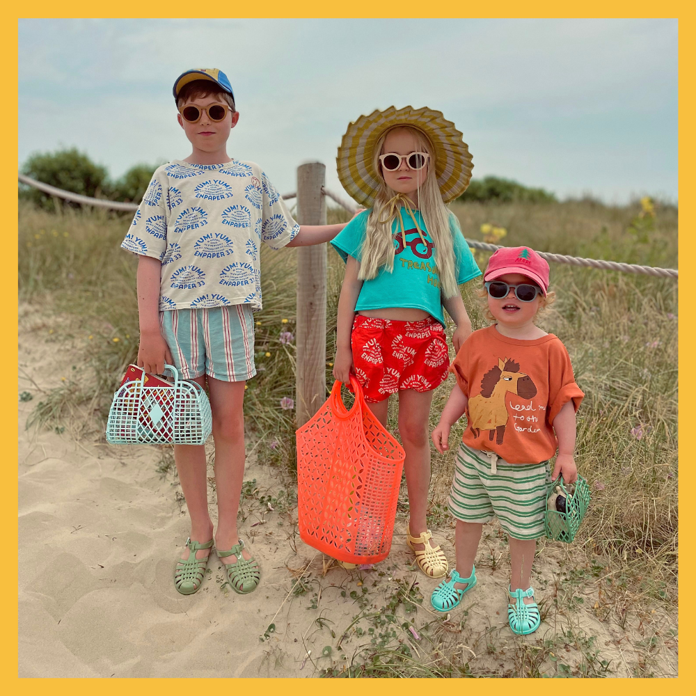 Friends of Sun Jellies : Q&A with Shell Mills - Sun Jellies