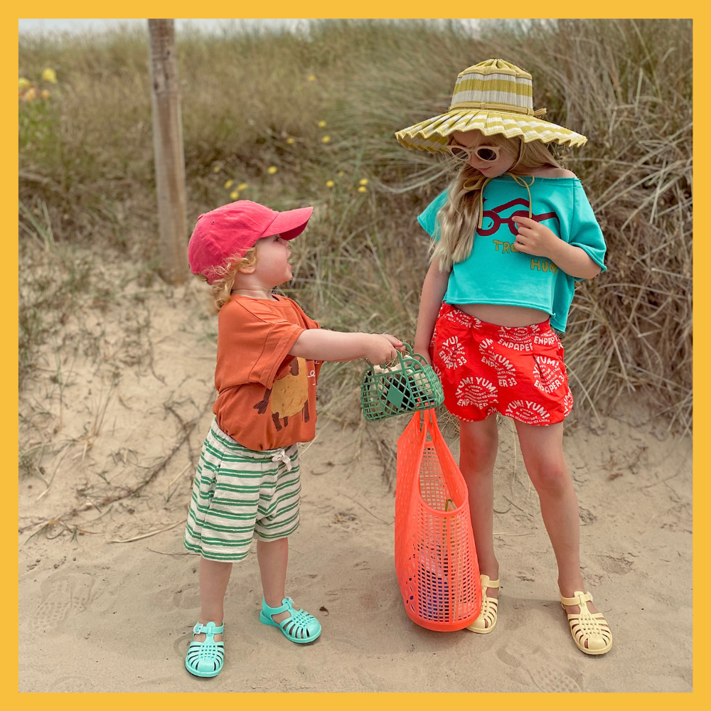 Friends of Sun Jellies : Q&A with Shell Mills - Sun Jellies